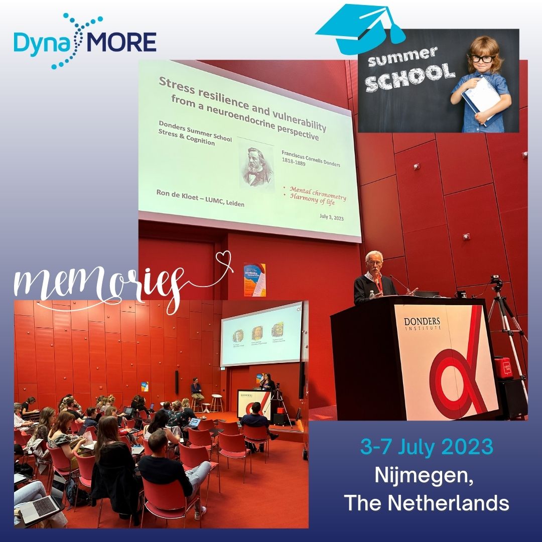 Home page - DynaMORE